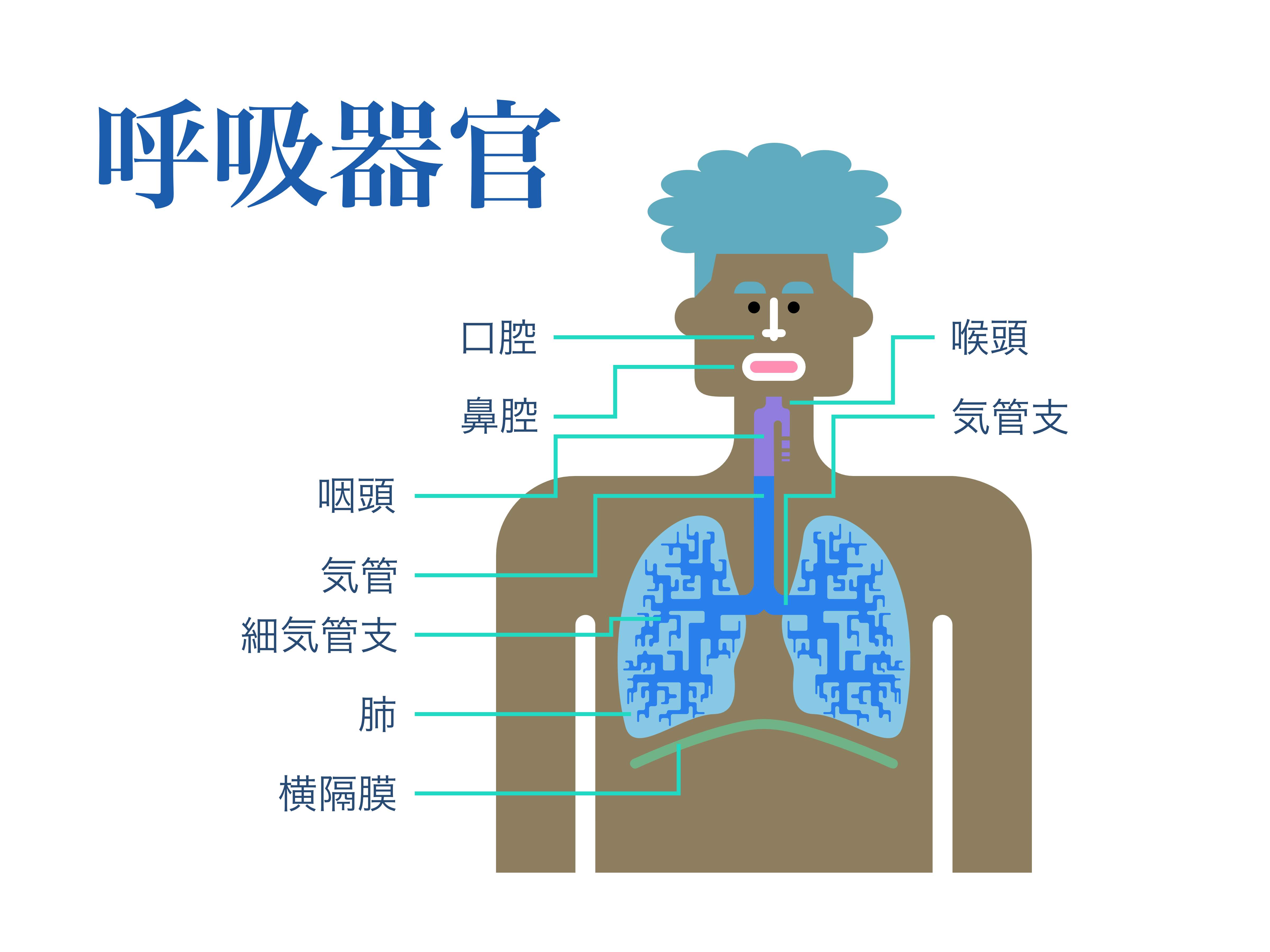 1696219 | 大阪市平野区ママとベビーのはりきゅうあん 4人の孫を持つ鍼灸師安村まさこのブログ